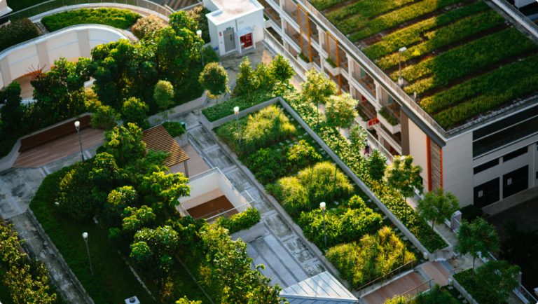 Living with Nature in Cities